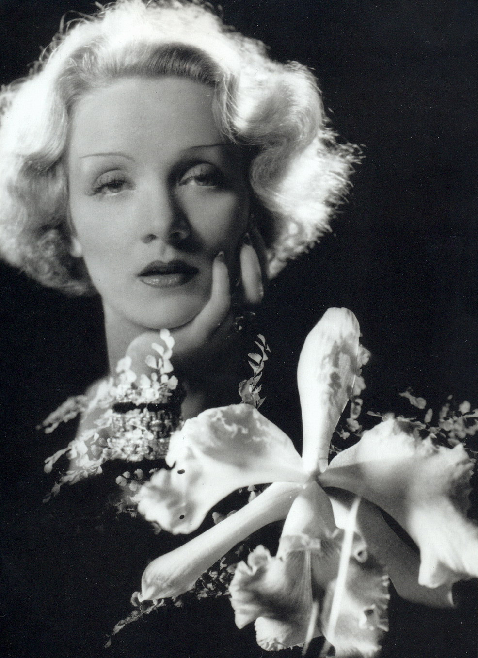 Marlene Dietrich Nrfpt